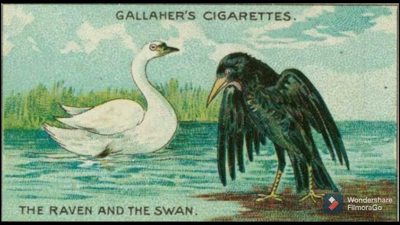 The Raven and the Swan | Aesop's Fables | Desires can Never be ...