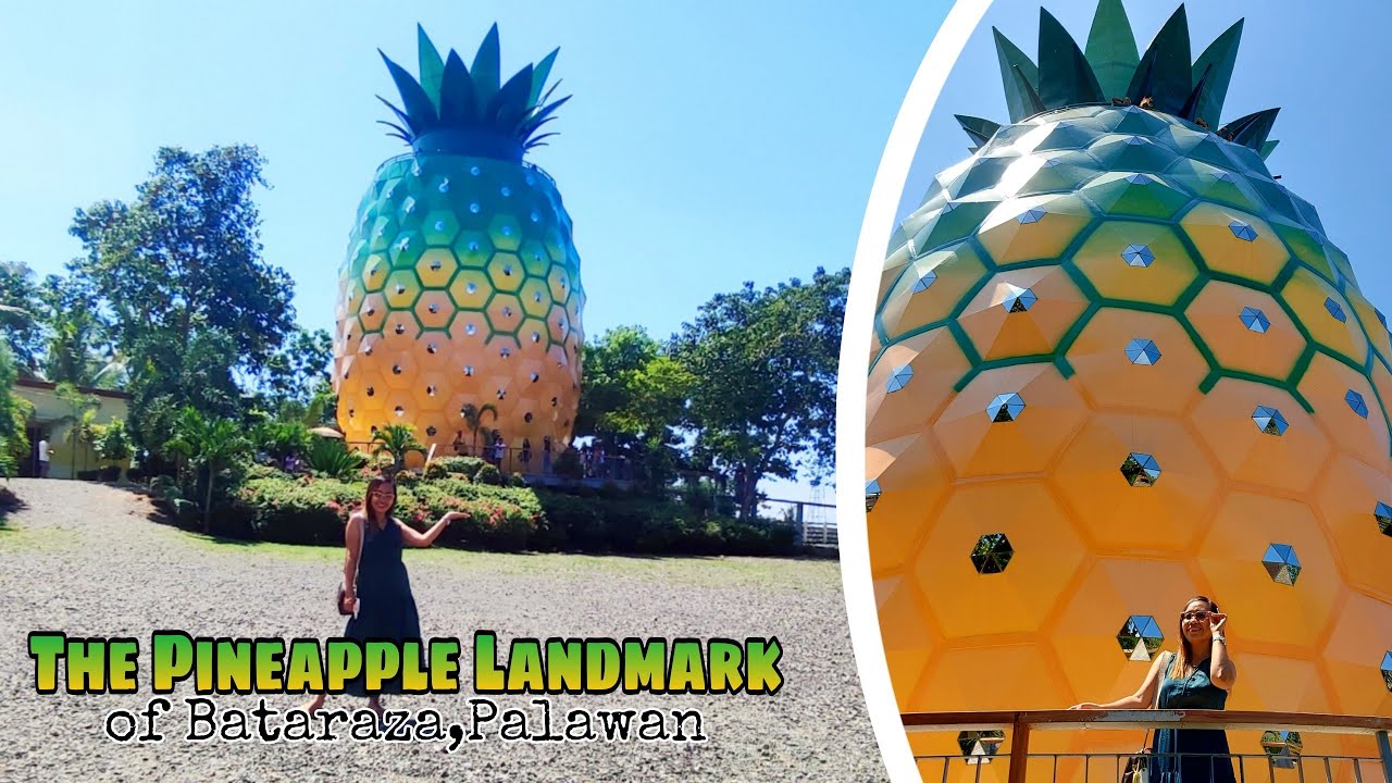 The Pineapple Landmark of Bataraza,Palawan - YouTube