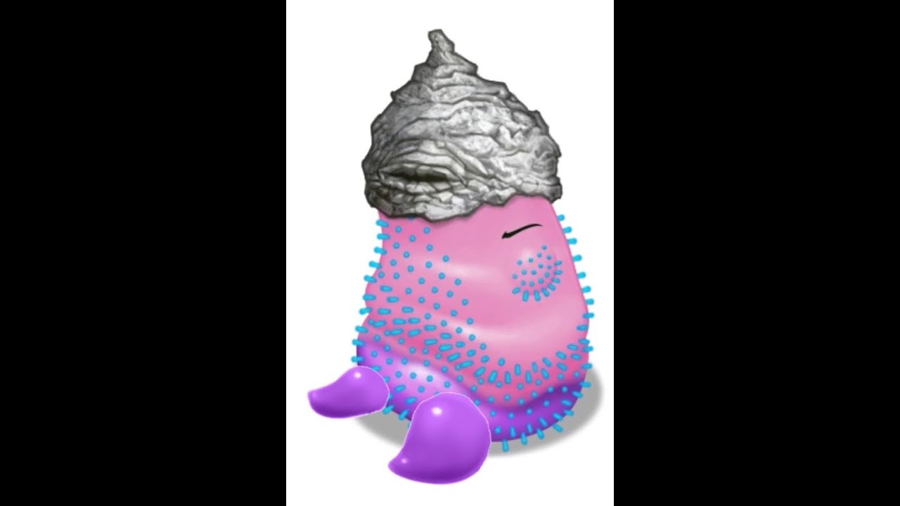 Giving rare Yelmut his feet back - YouTube