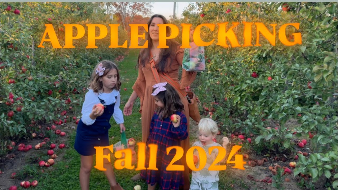 Apple Picking this Fall in Rhode Island! - YouTube