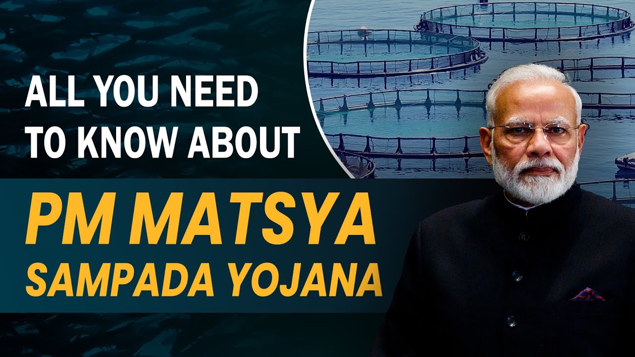 Pradhan Mantri Matsya Sampada Yojana (PMMSY) | Everything You Need To ...