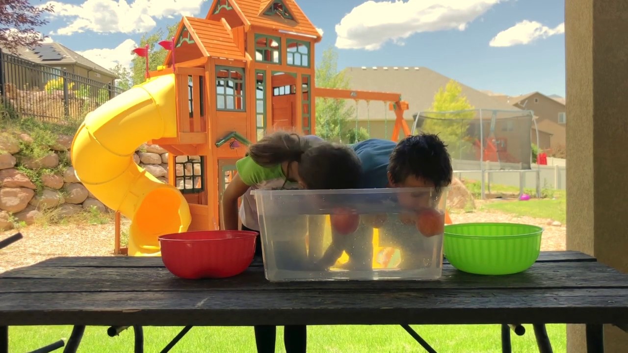 Avery's Apple Bobbing Challenge - YouTube