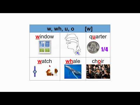 W/w, wh, u, o - [w] and the sounds or phonemes - YouTube