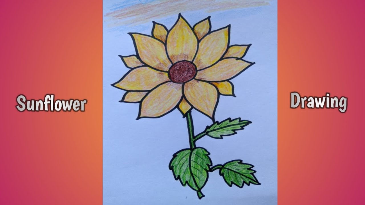 How to draw a sunflower with easy steps. - YouTube