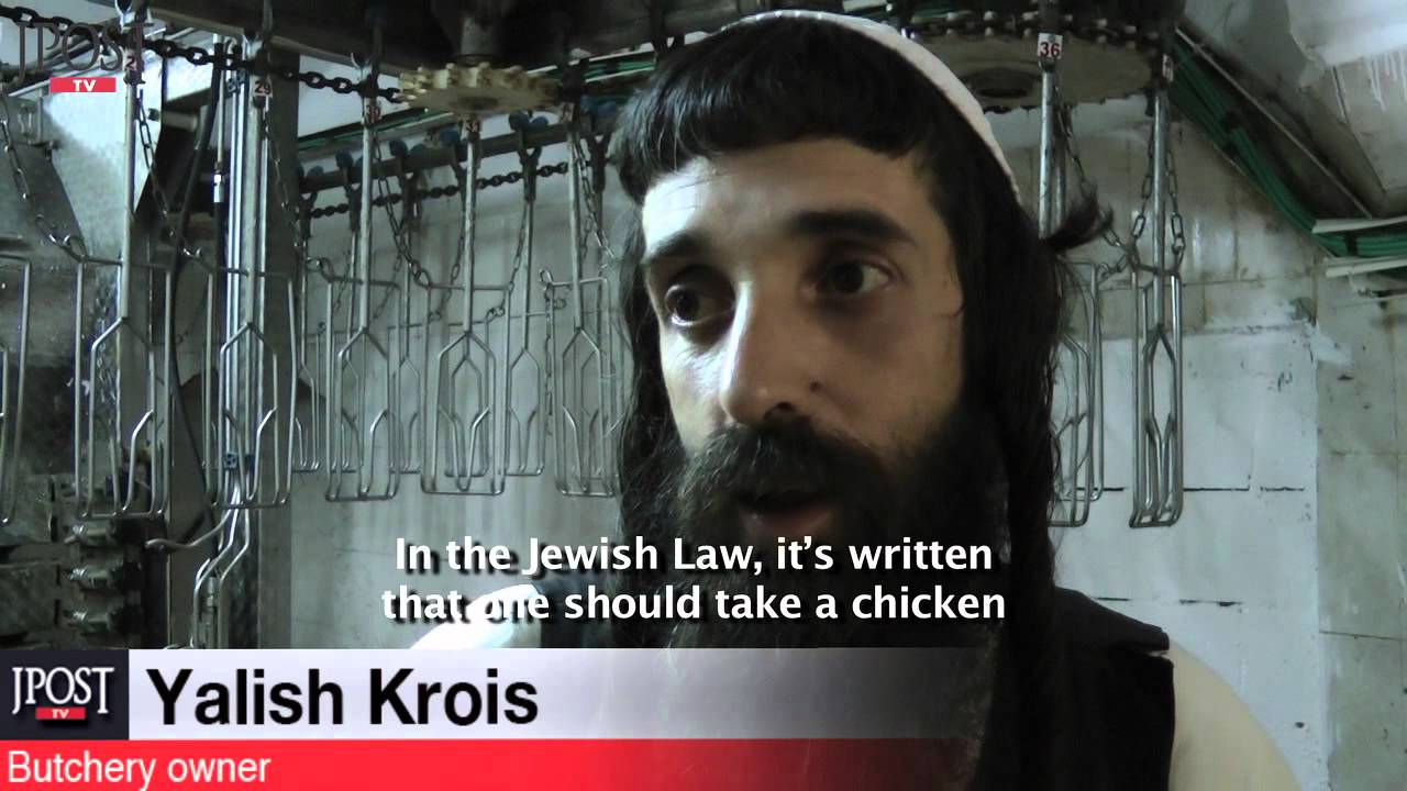 Kapparot in full swing on Jerusalem streets - YouTube