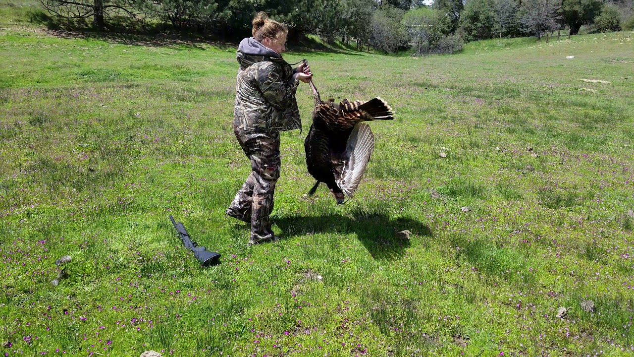 Turkey down - YouTube