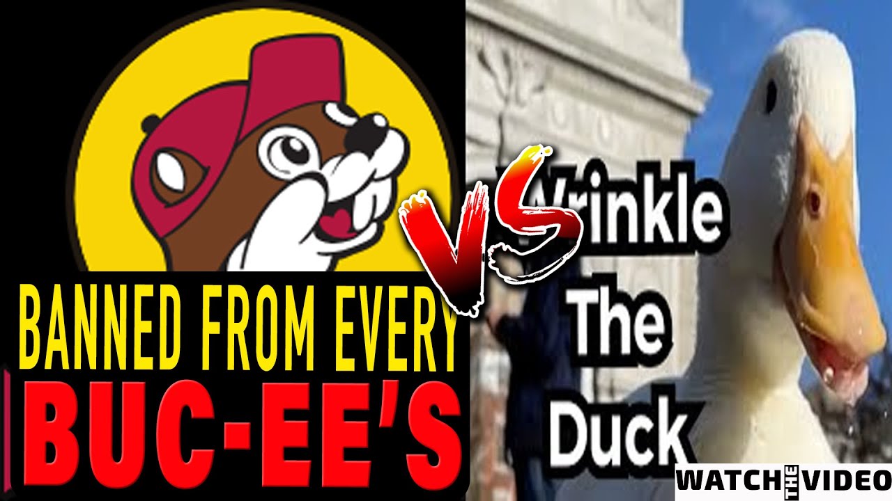 WRINKLE THE DUCK Banned From EVERY Buc-Ee’s | The Lockoutmen Podcast 🎙 ...