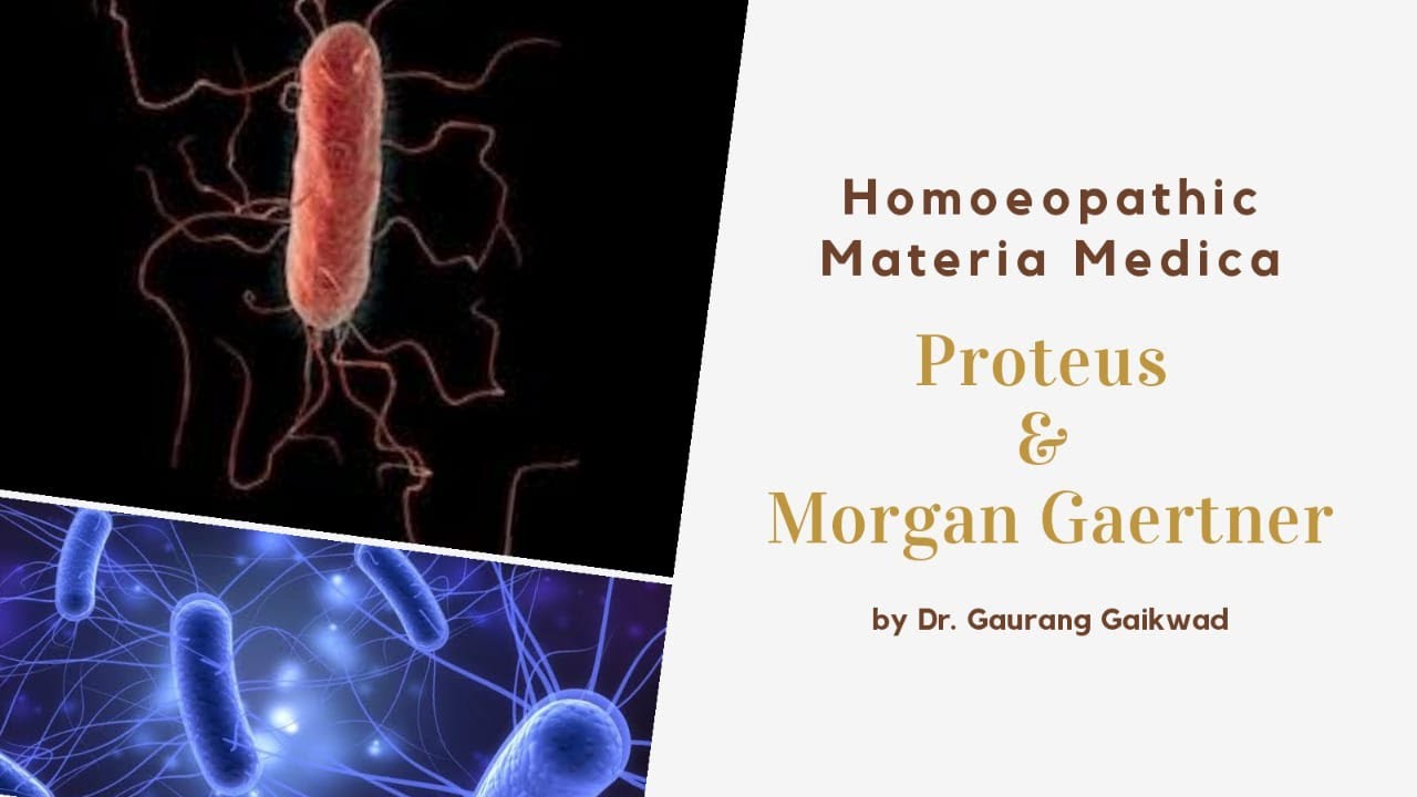 Materia Medica of Bowel Nosode -Morgan Gaertner and Proteus by Dr ...