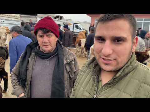 Sorgun hayvan pazarı ikinci video 13 KASIM .!!! 