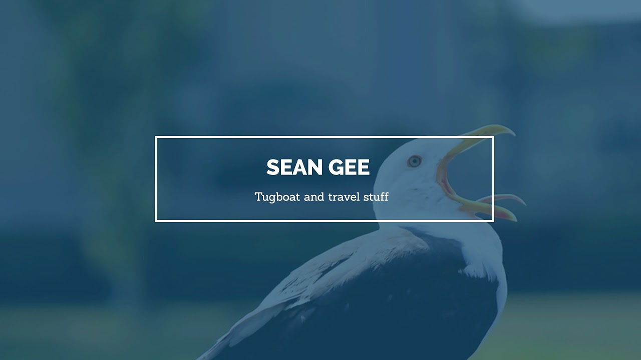 Sean Gee Live Stream - YouTube