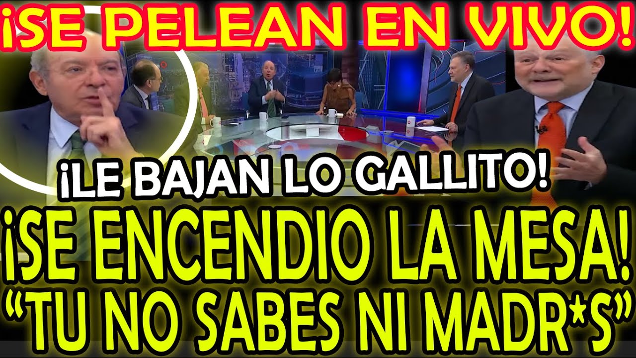 ¡SE PELEAN EN VIVO, POR FIN CALLAN A LEO Y CAMIN! - YouTube