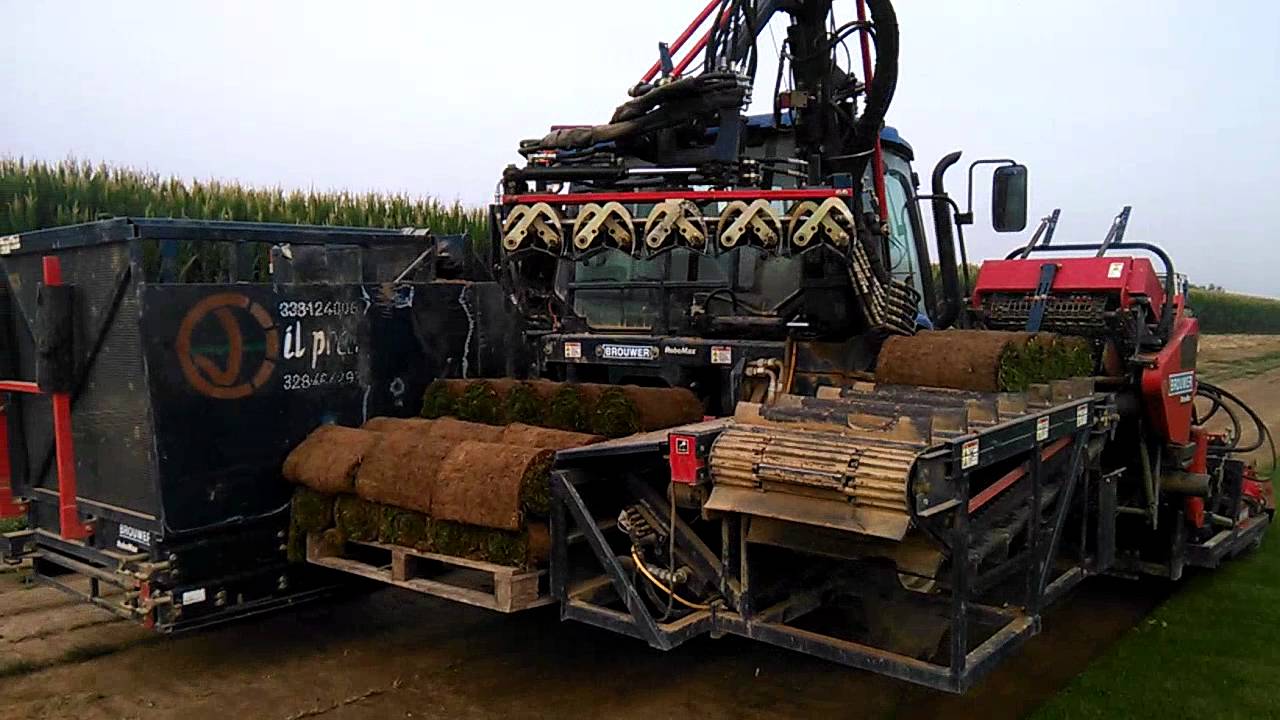 Raccolta tappeti erbosi a Piemonte - YouTube