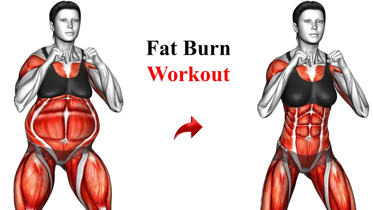 Melt Fat Everywhere🧘‍♂️Total Body Weight Loss Routine 💦 full body fat ...