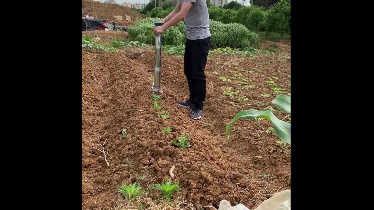 모종이식기 고추 심는기계 파종기 한손 이식기 고구마 콩 씨앗파종기 공구 작은 씨앗 땅콩 참깨 Youtube
