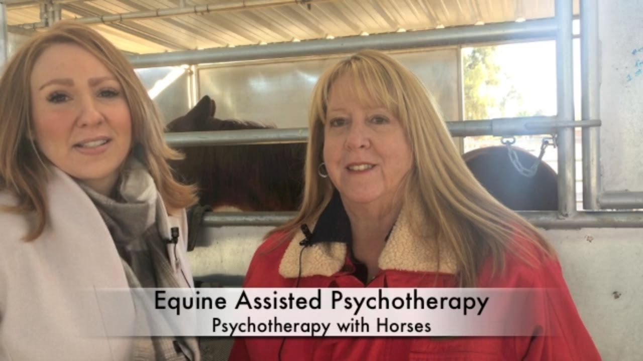Equine Assisted Psychotherapy-Counseling and Therapy with Horses - YouTube