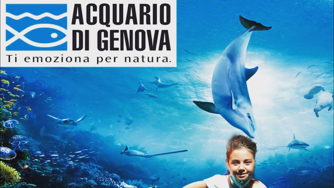ACQUARIO DI GENOVA DIETRO LE QUINTE NOVITÀ 2022/2023 NEW VIDEO CON ...