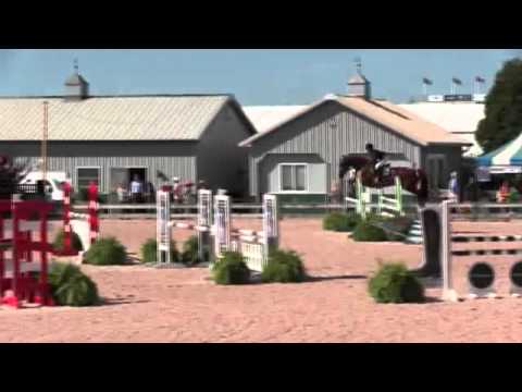 Video of RUBERT ridden by LEIGH OFER from ShowNet! - YouTube