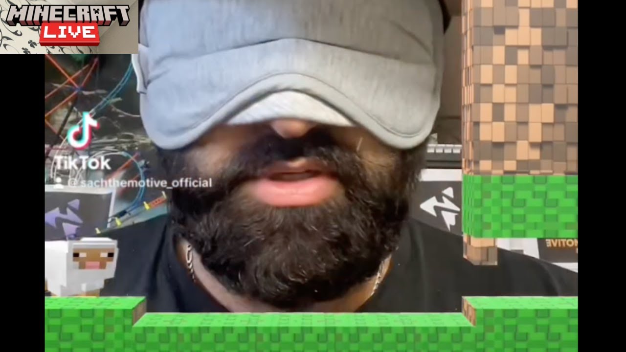 Minecraft crazy sheep tiktok game - YouTube