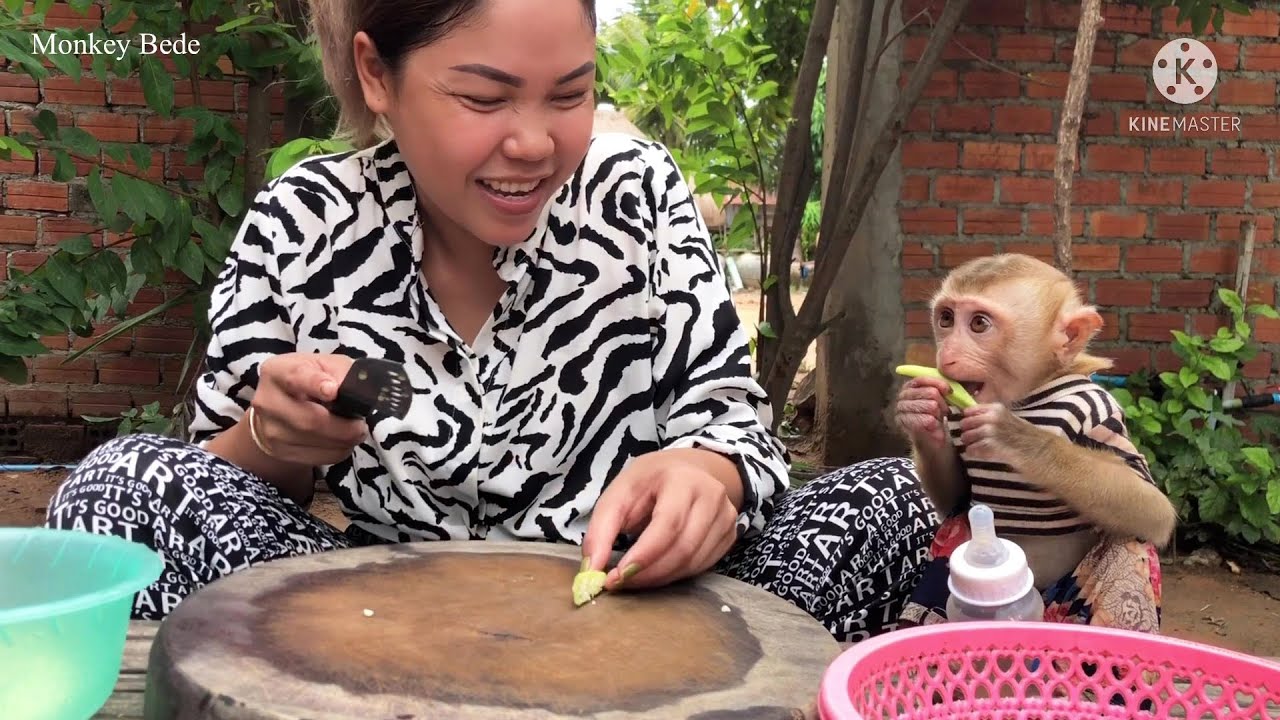 First Time ! Baby Monkey Bede Surprise To See Okra Fruit - YouTube