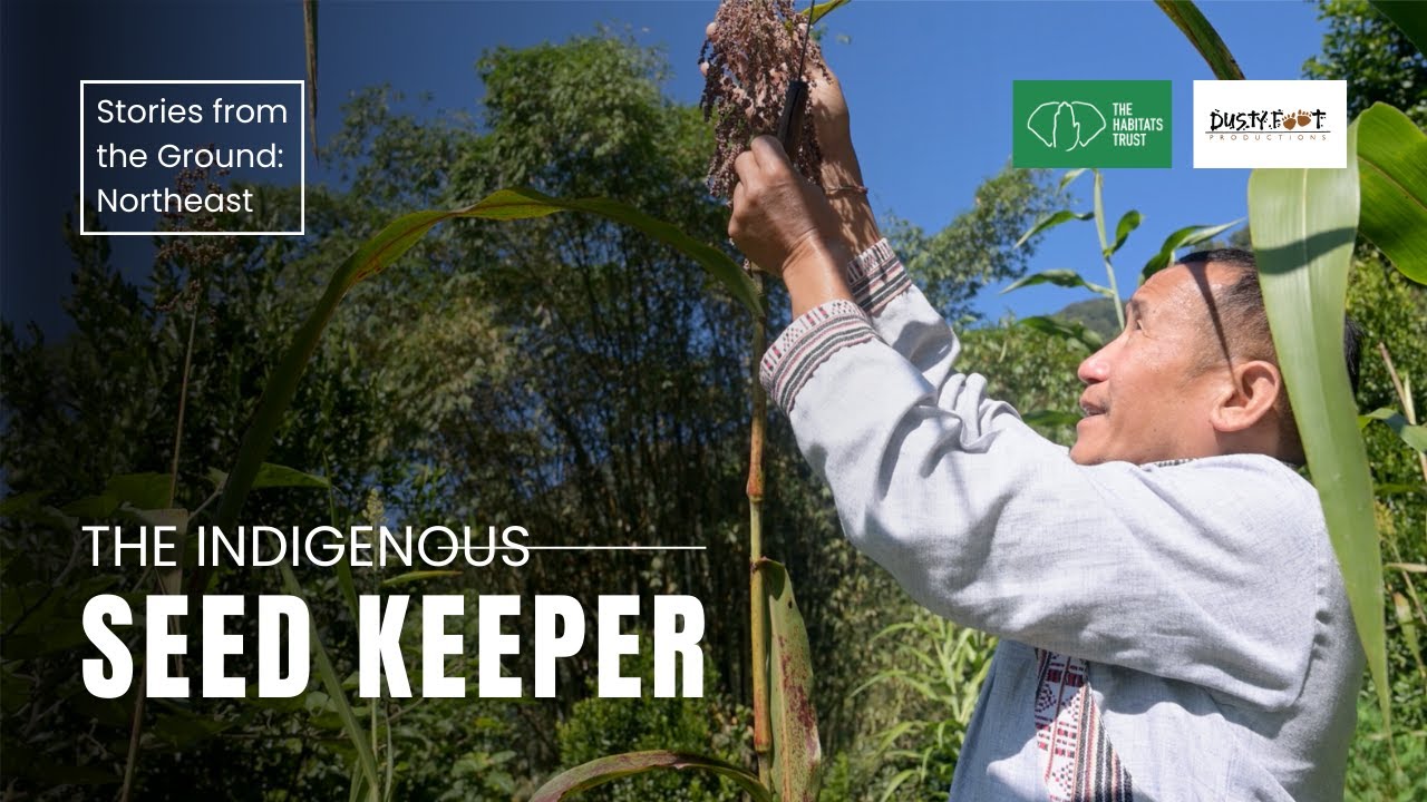 Indigenous Seed Keeper | Stories from the Ground: Northeast India | The ...