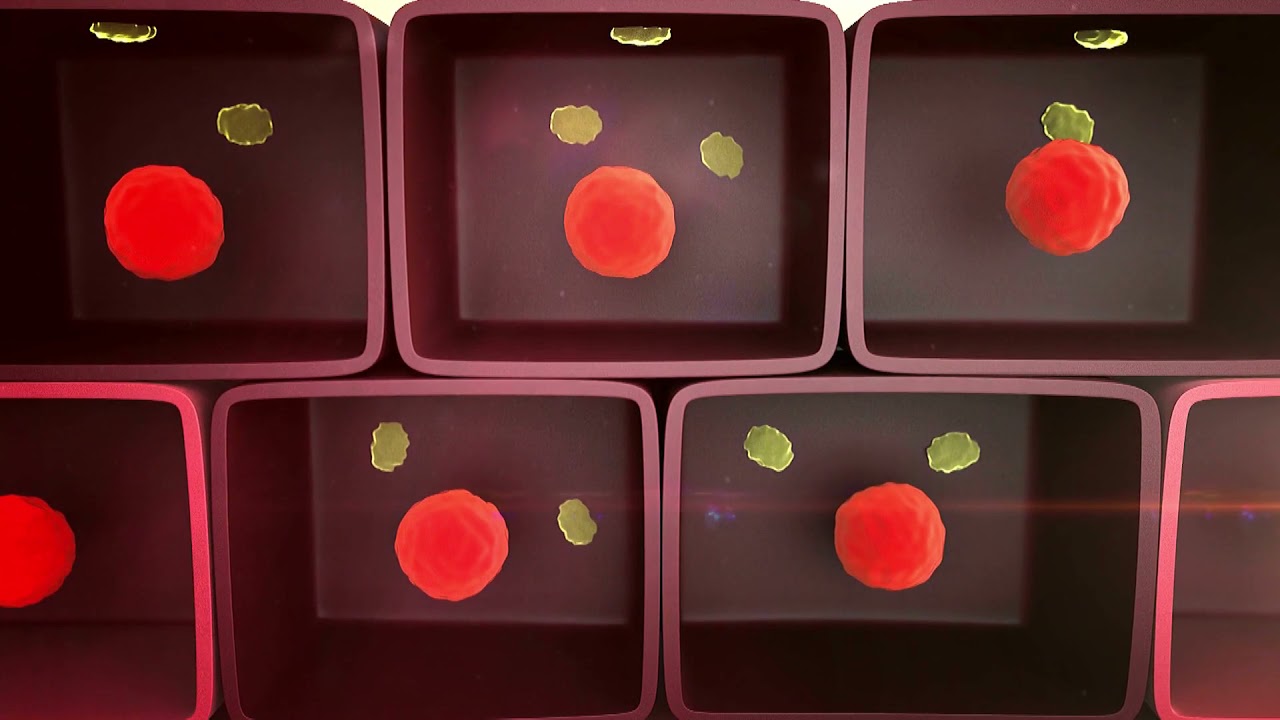 Liver cells Animation - YouTube