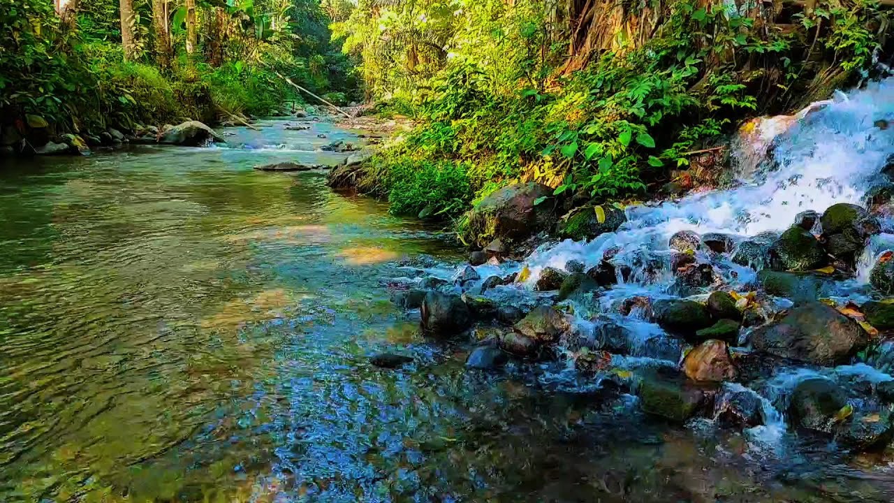 Relaxing River Sounds: Calm Your Soul for Sleep, Stress Relief, Study ...