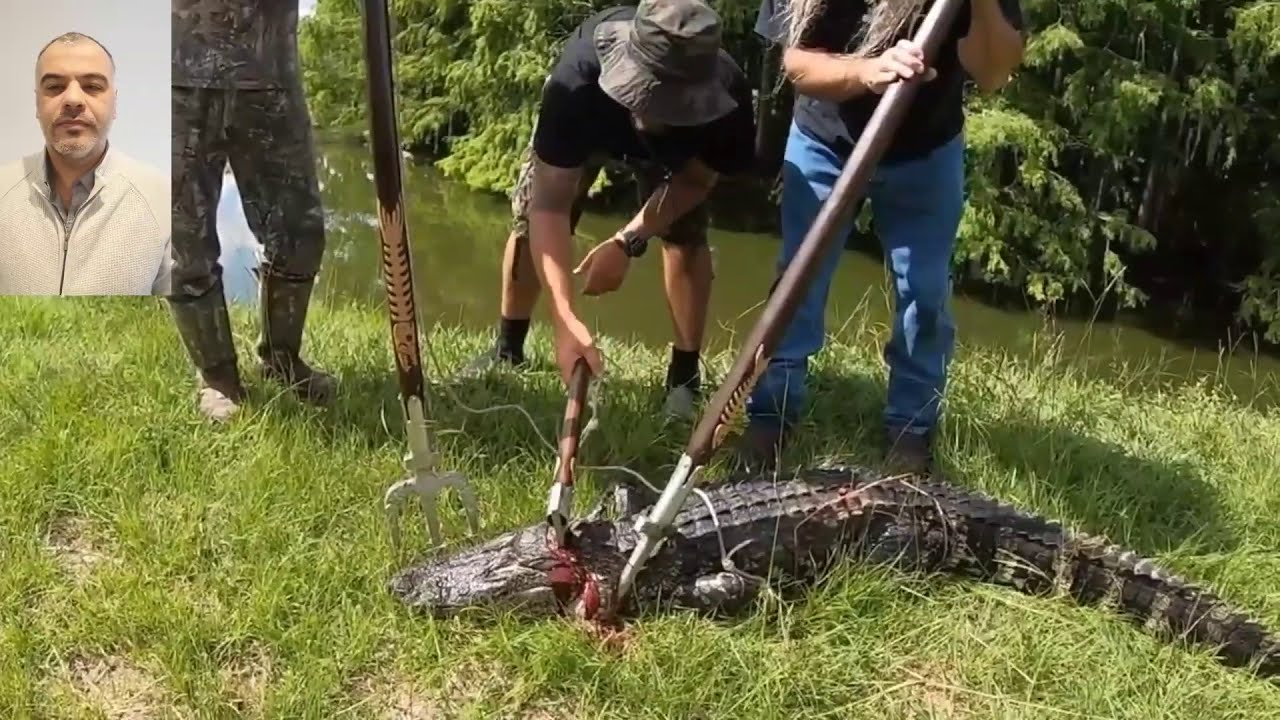 Crocodile Hunting With A Trident And A Pistol Seen For The First Time ...