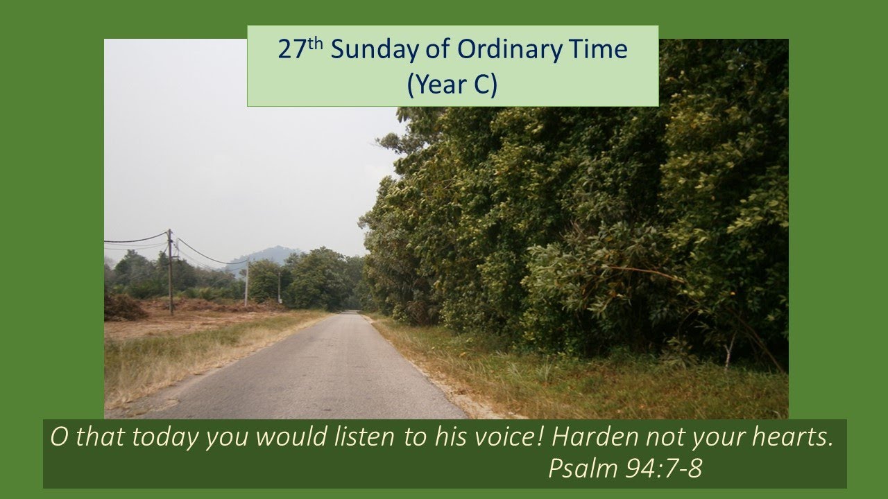 27th Sunday of Ordinary Time (Year C) - YouTube