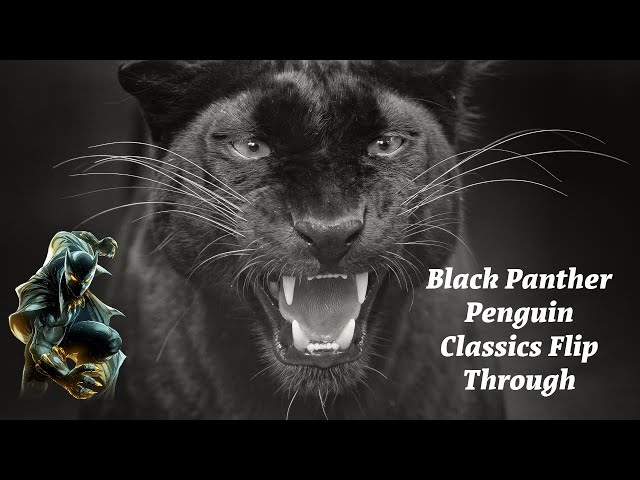 Black Panther Attacking