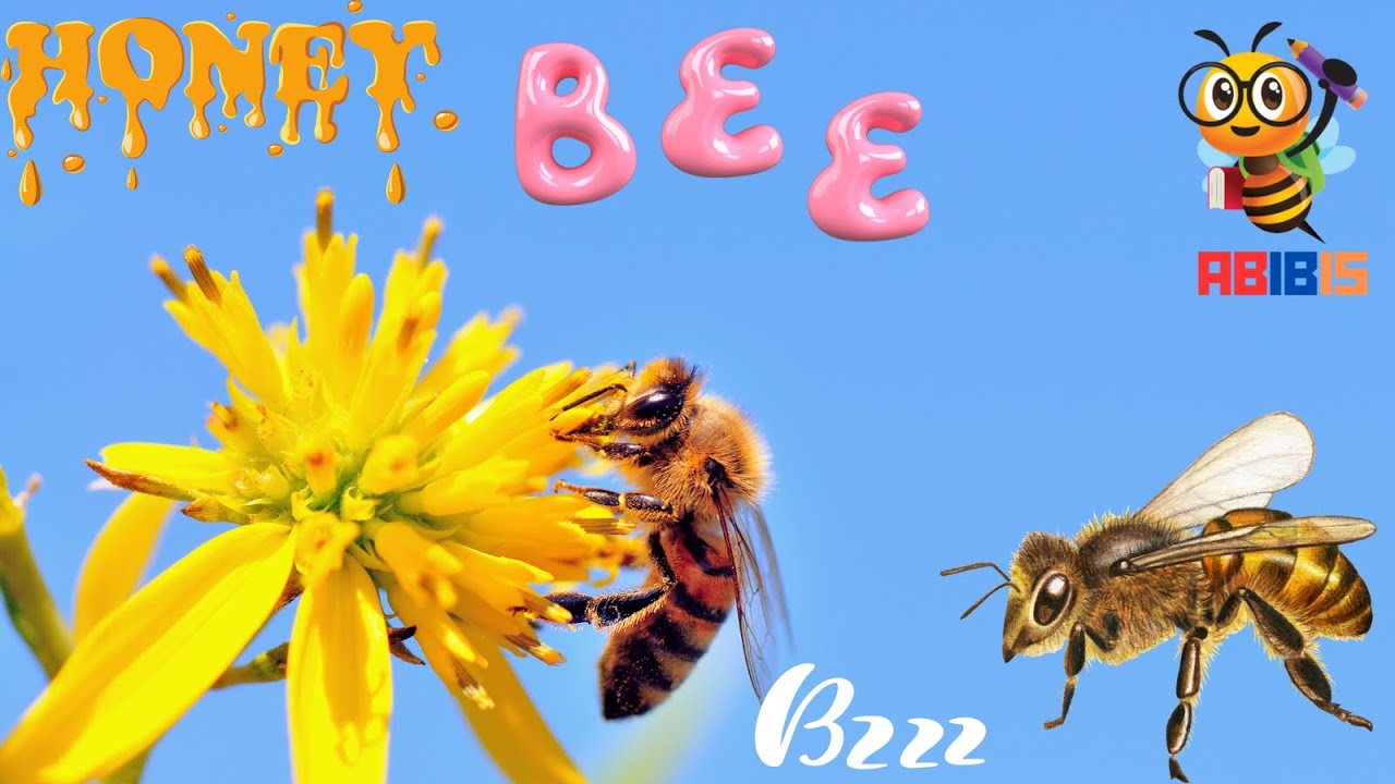 All About Bees for Kids - Bees Facts | From Nectar to Final Honey ...