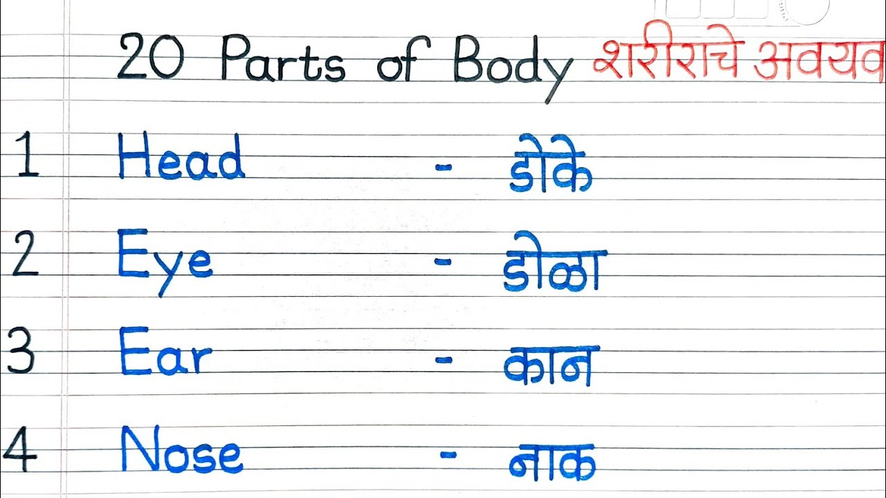 20 Parts of Body| Parts of Body in English and Marathi| शरीराचे अवयव ...