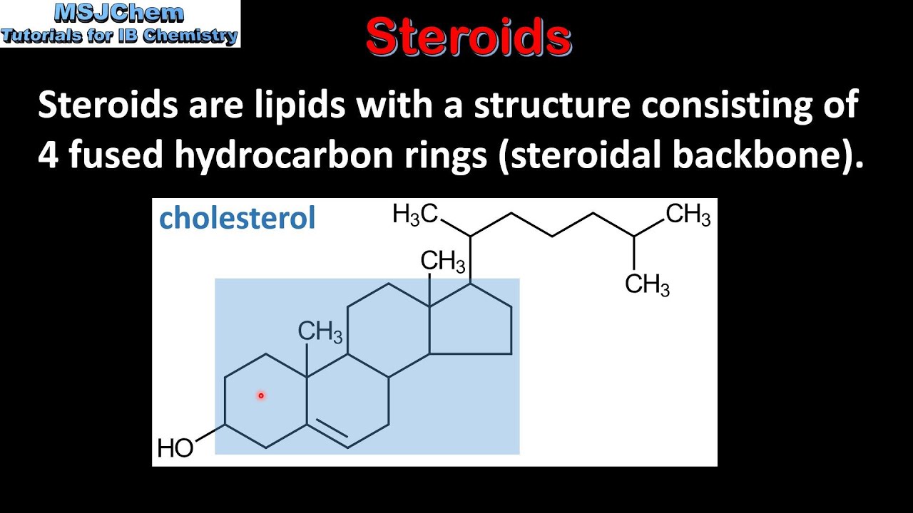 B.3 Steroids (SL) - YouTube