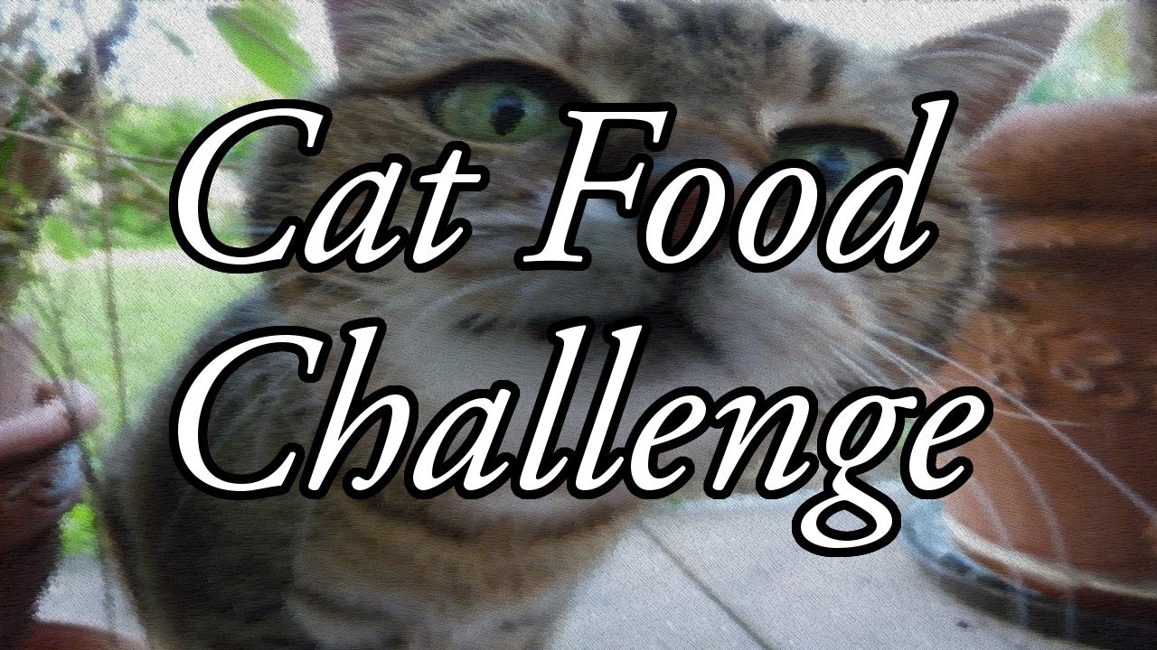 Cat Food Challenge - YouTube