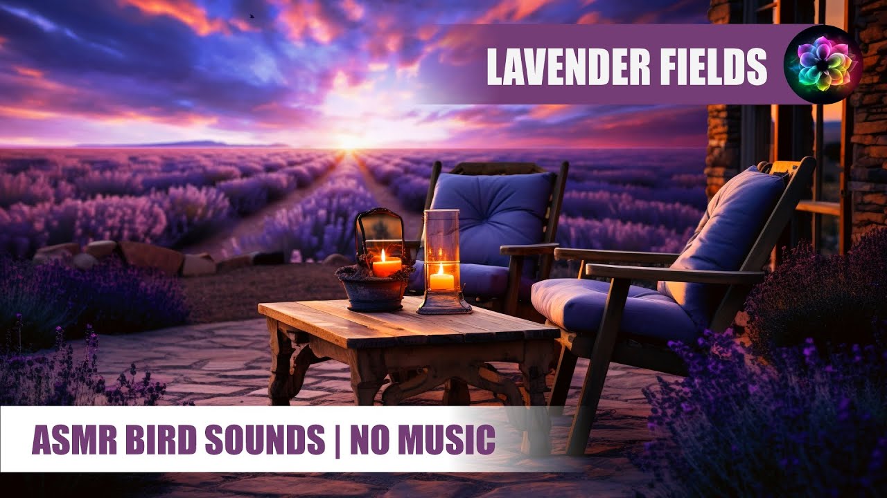 ASMR Bird Sounds | No Music | Relaxing Purple Color Therapy with ...