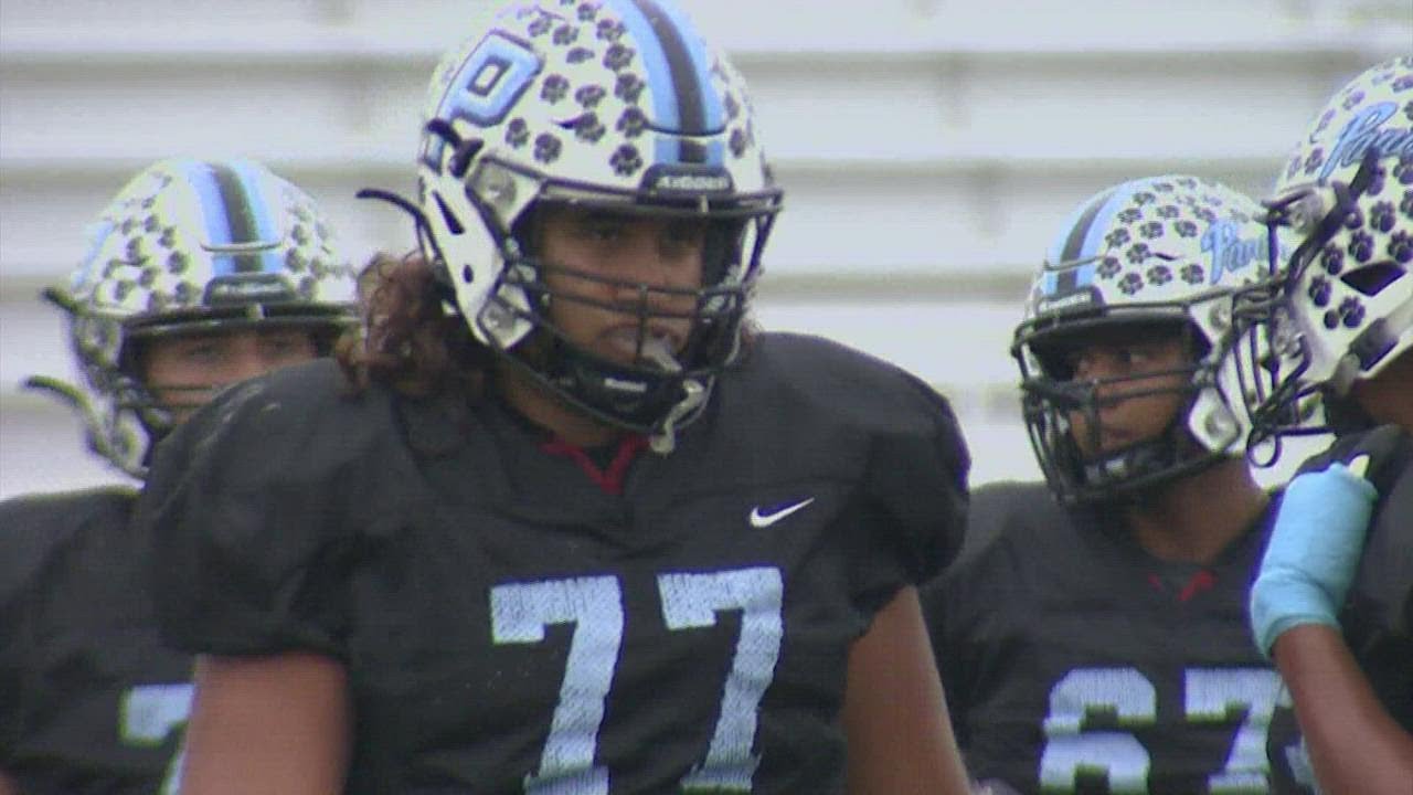 Paetow Panthers: In their own words as they prepare to play for a state ...