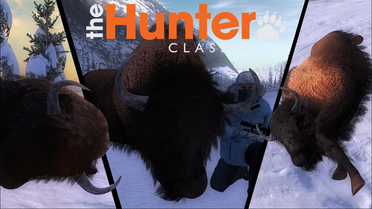 Bison Hunt To Prep For Christmas In The Hunter Classic! - YouTube