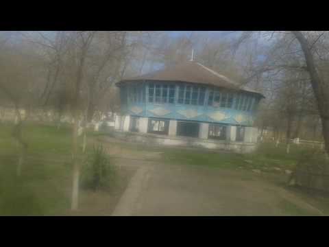 17 марта 2017 г.