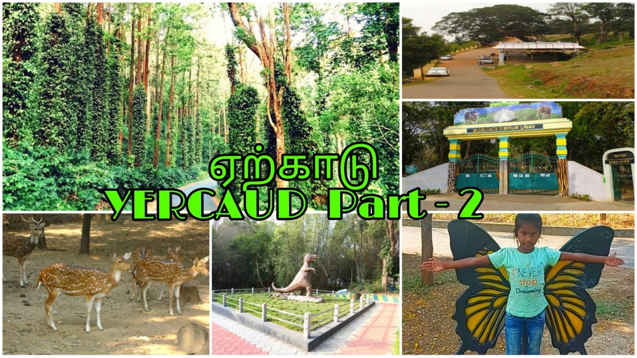 Yercaud Part 2 | Yercaud Vlog Tamil | Servarayan temple View point ...