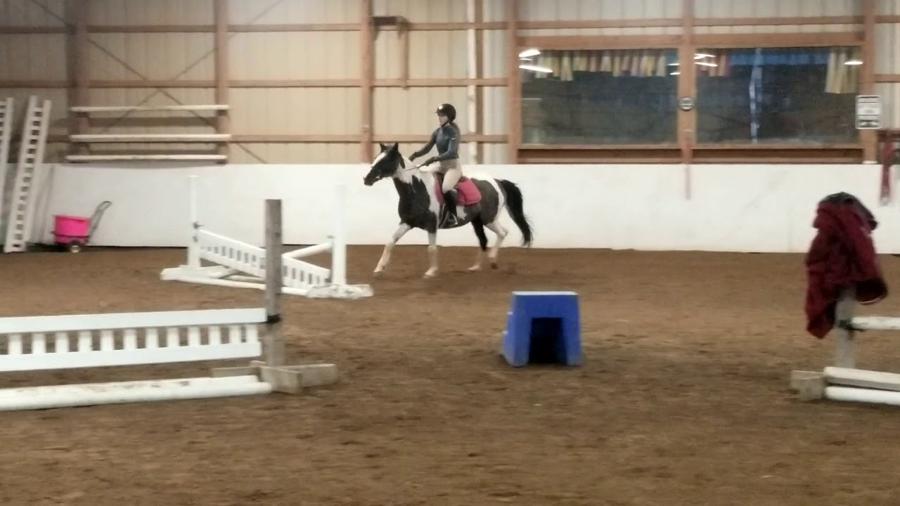 SOLD Peppermint Patty - Jump lesson with adult - YouTube