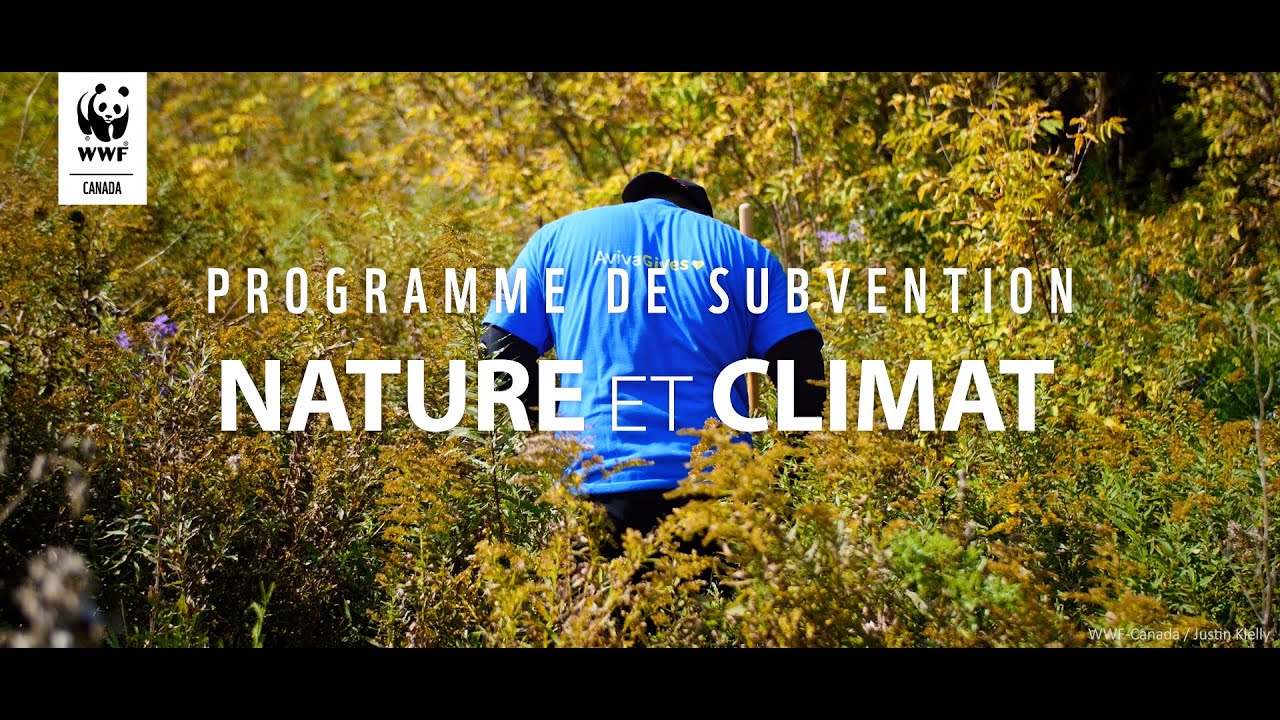 Programme de subvention nature et climat: comment trois groupes ont ...