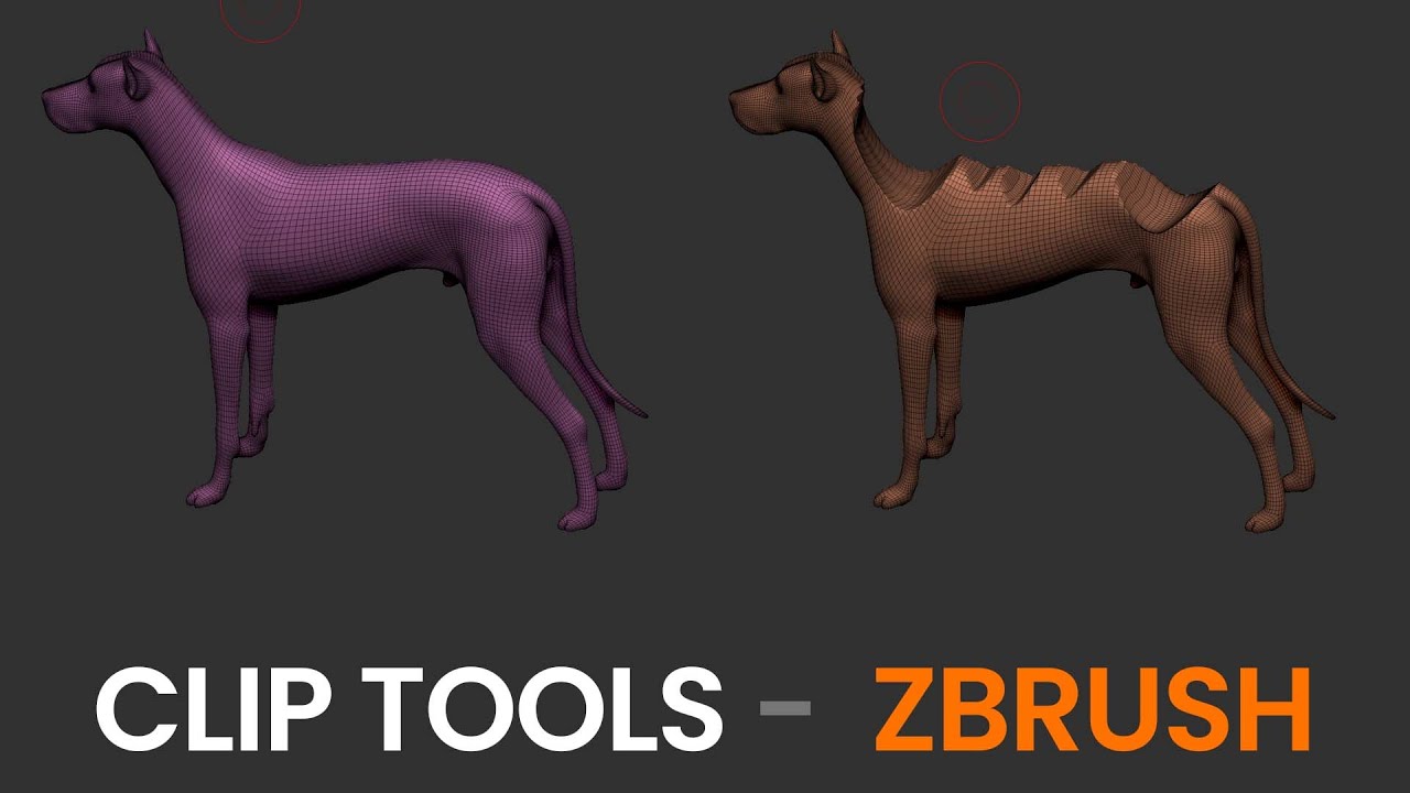 Exploring Clip Tools in ZBrush - Clip Circle, Clip Rectangle, Clip Curve - YouTube
