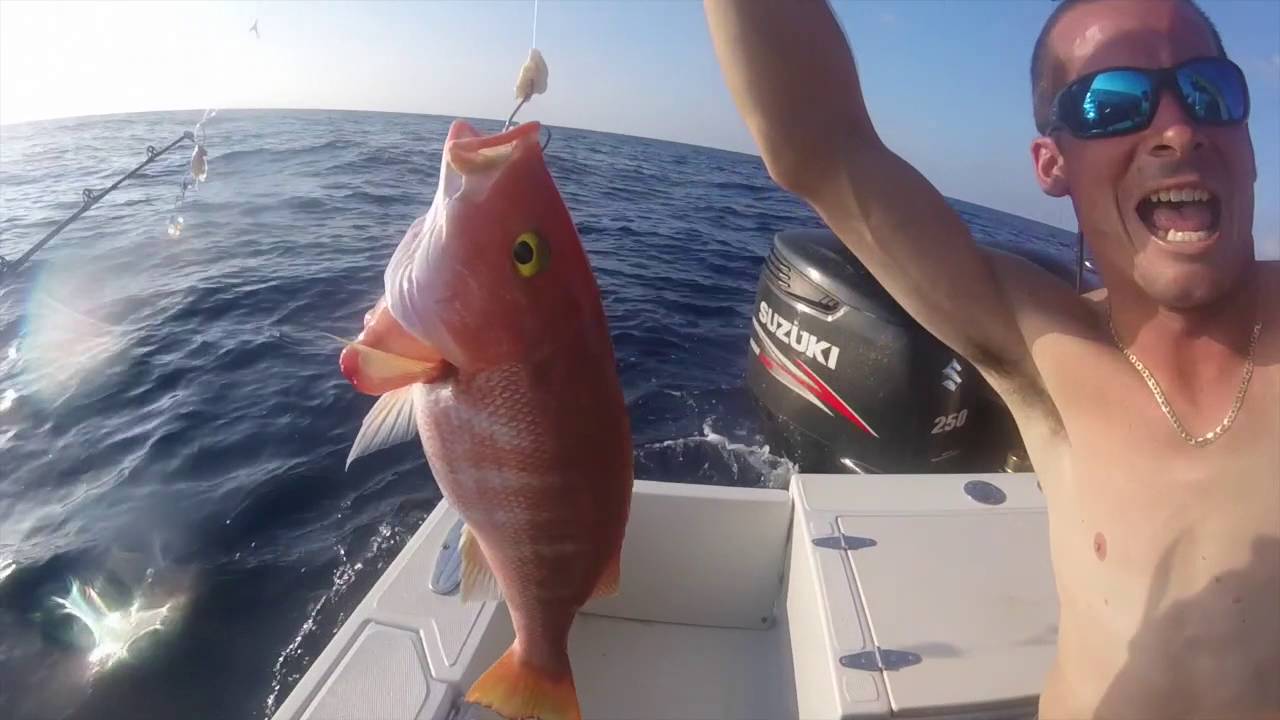 Pulley Ridge Fishing - Grouper - Snapper - Tuna - Pelagic - Dolphin ...