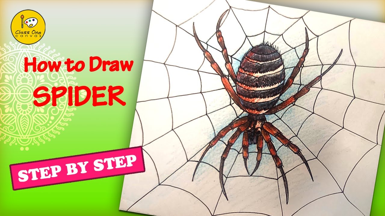 How to draw Spider #step by step spider drawing #spider drawing #Class ...