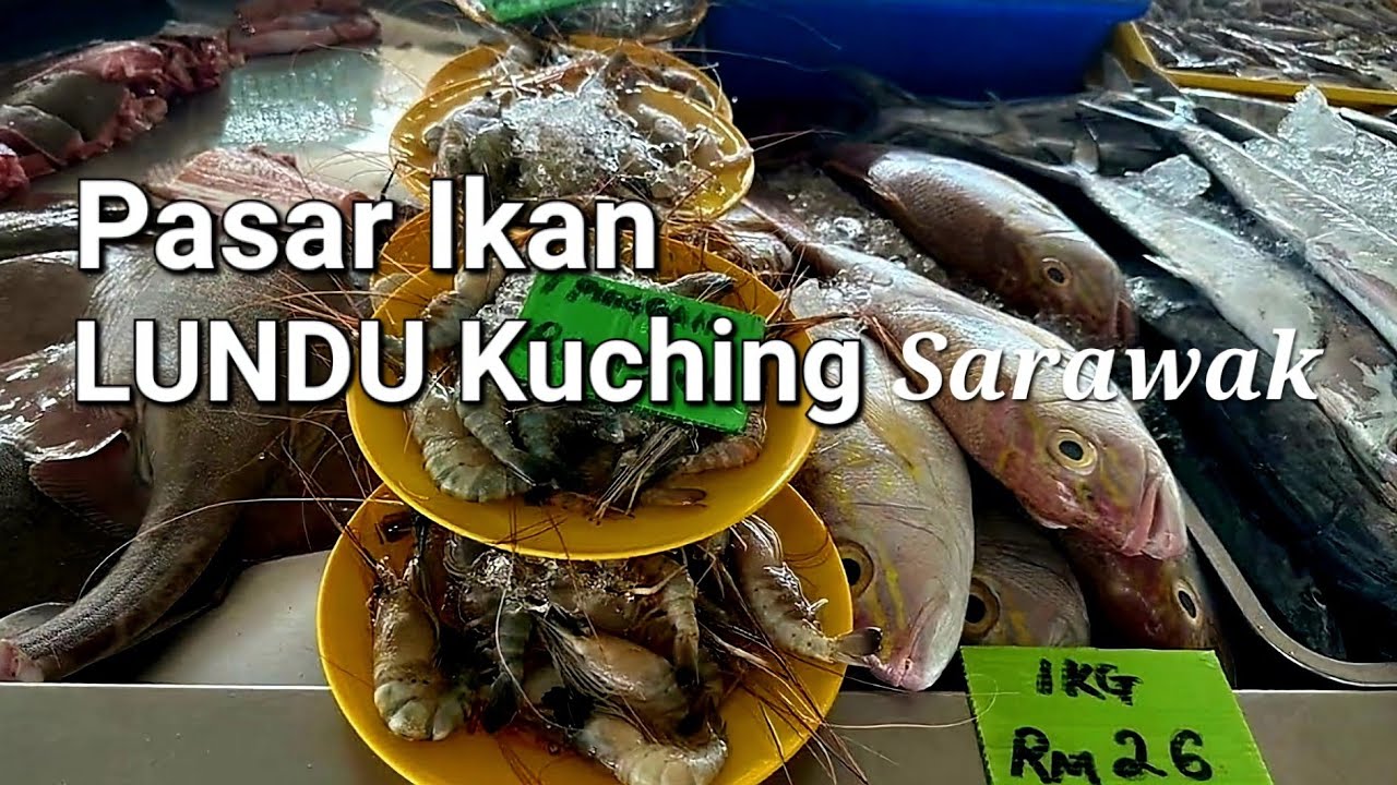Pasar ikan Lundu Kuching Sarawak🐟Mari cari ikan segar segar gais👍 - YouTube