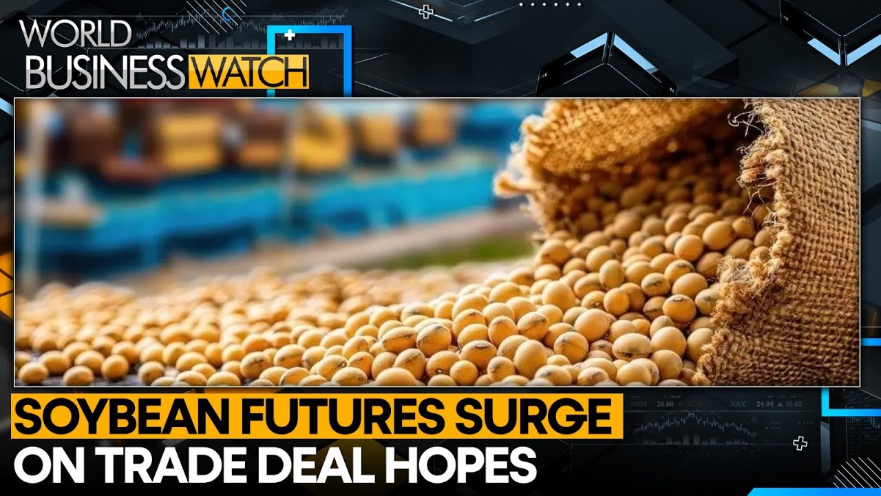 Soybean Futures Rise 1.4% Amid Trade Deal Optimism | WORLD BUSINESS ...