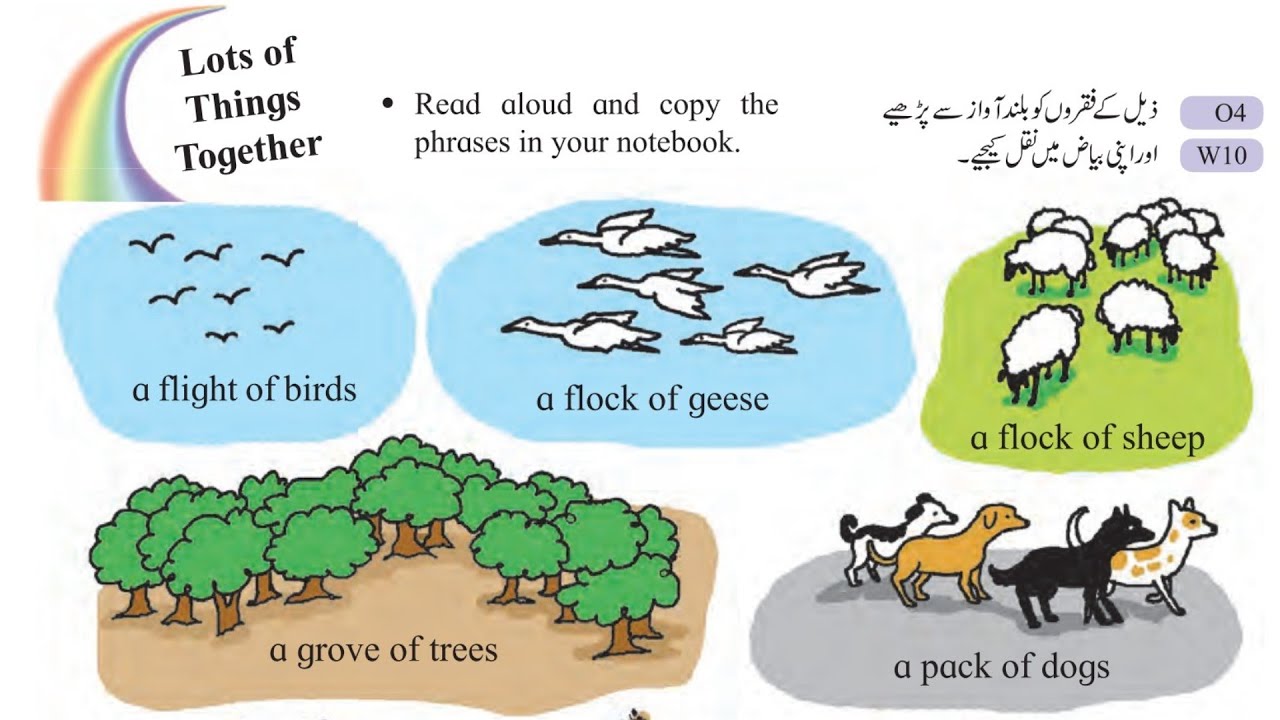 Lots of Things Together class 5th subject English(urdu medium) page no ...