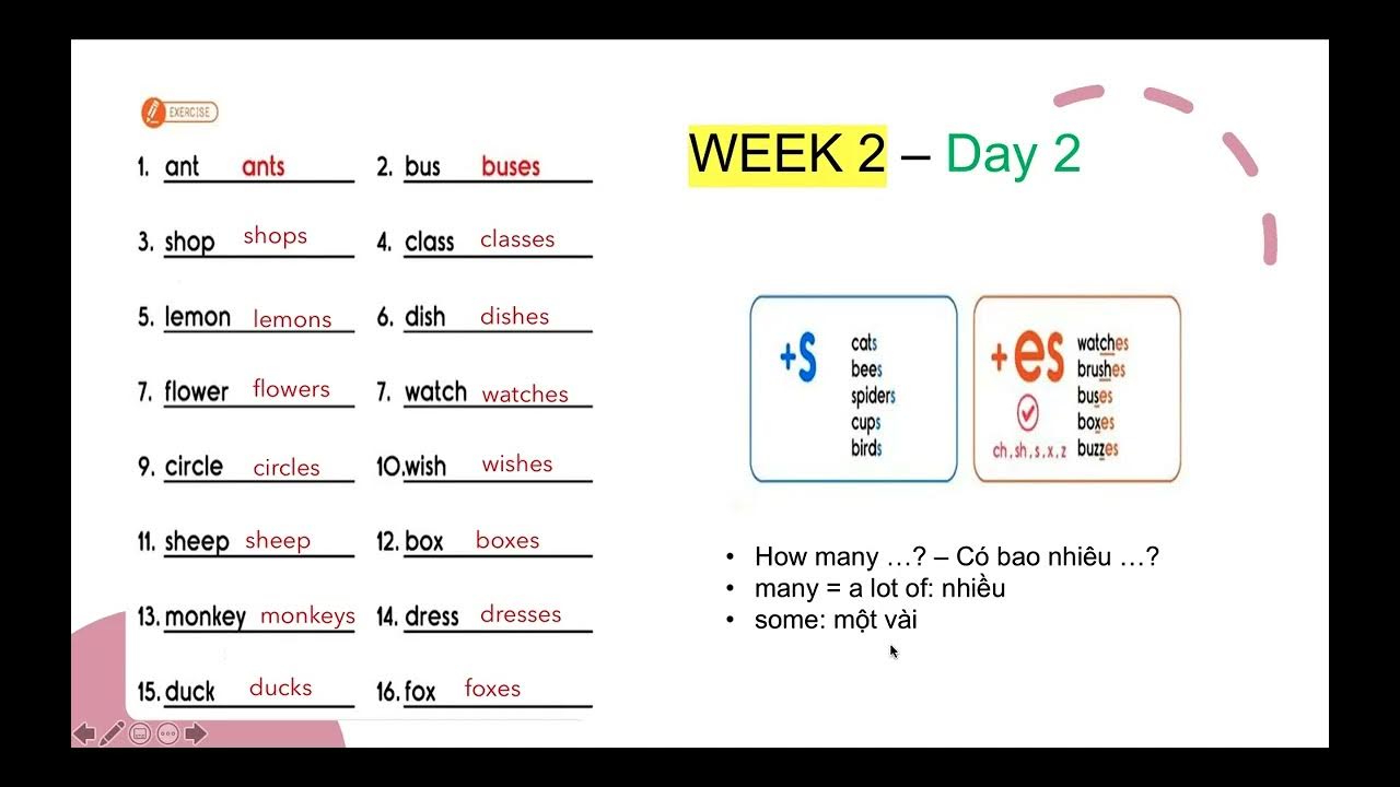 Week 2 Day 4 - YouTube