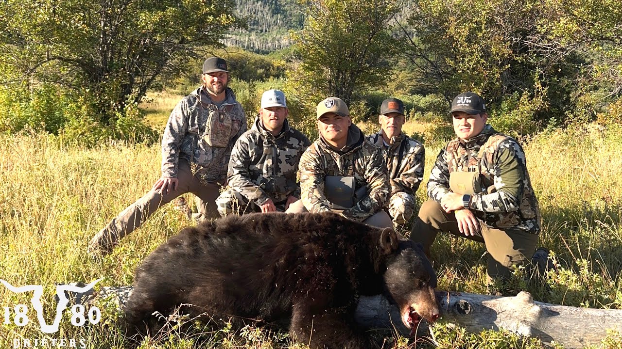 Colorado Bear Hunt. The Coolest Drone Footage You Will Ever See! - YouTube