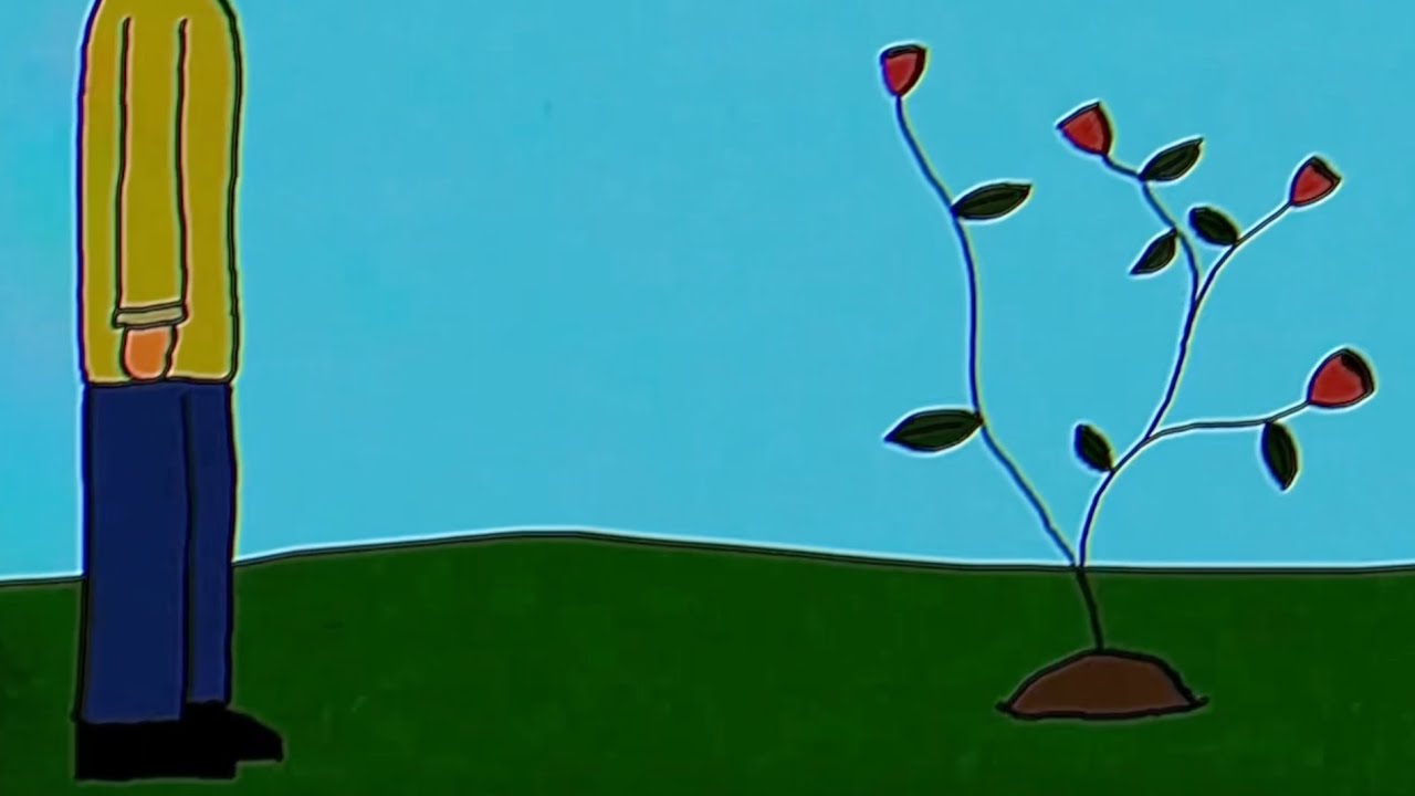 Seedling (Jack Stauber-style animation) - YouTube