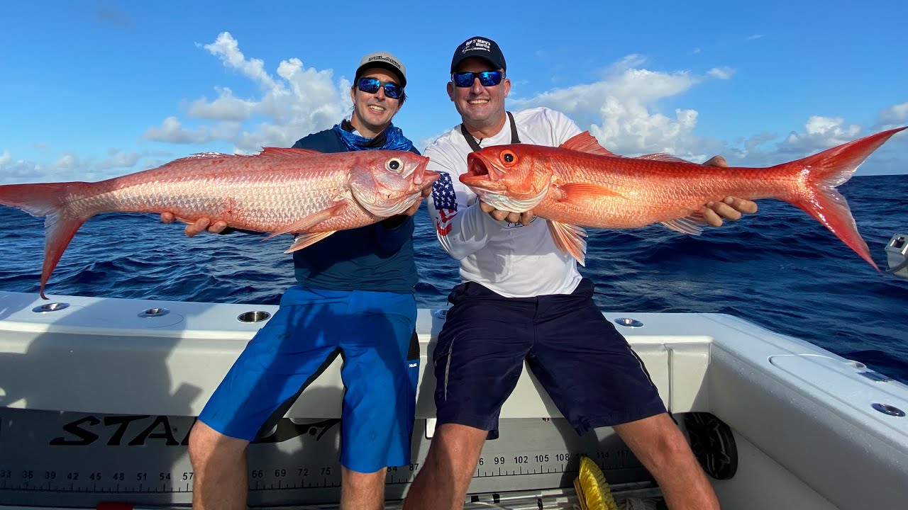 Giant Queen Snapper on TINY rod! Catch Clean Cook ft. STANZFAM